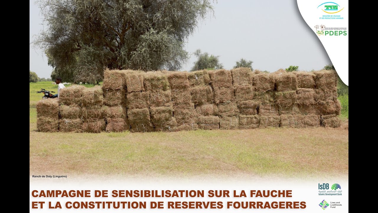 Campagne de sensibilisation sur la fauche et la constitution de réserve ...