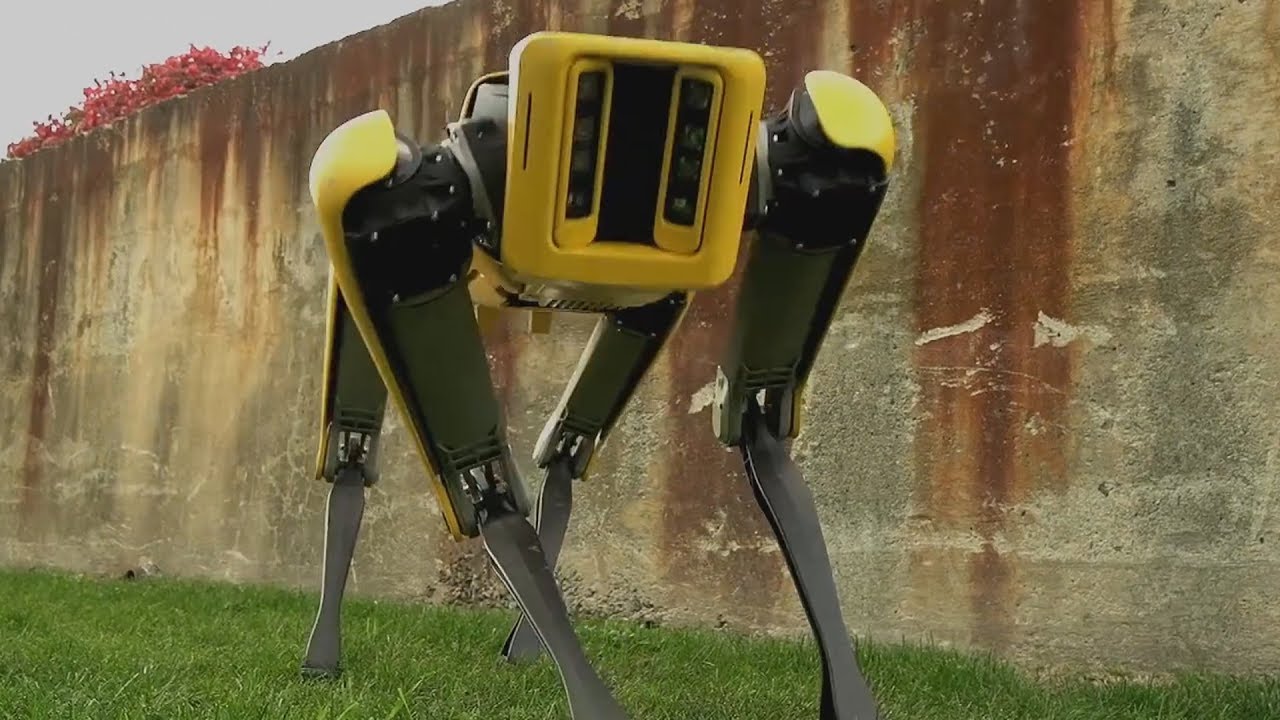 If the SpotMini was made by EA - YouTube