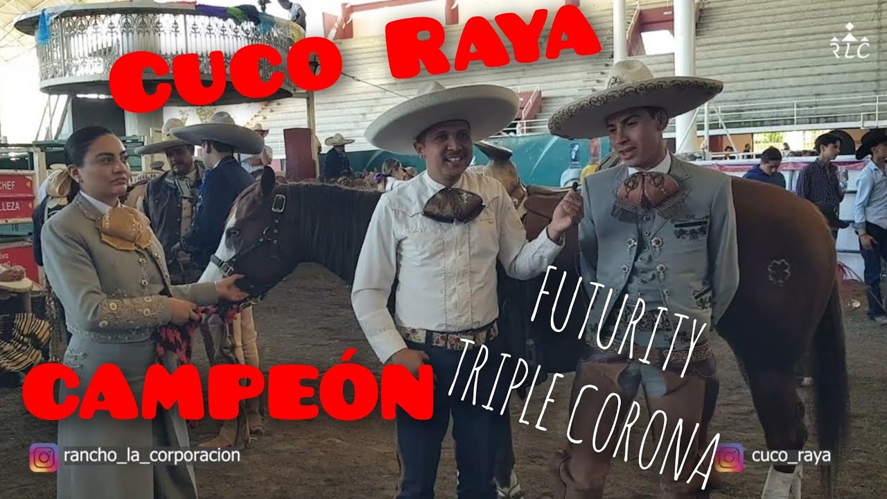 Entrevista a Cuco Raya - Campeón del Futurity Triple Corona de CCCM ...