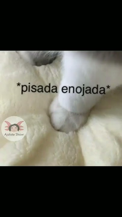 pisada enojada 😠 #memes #shorts #humor - YouTube