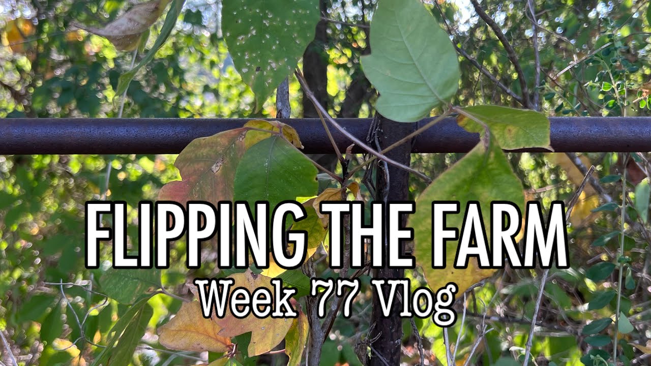 FLIPPING the FARM | Week 77 Vlog - YouTube