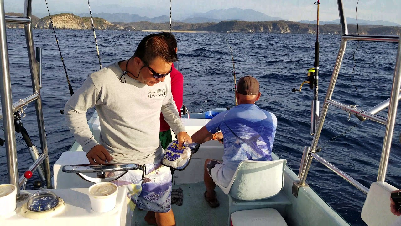 Huatulco fishing-January 2019 4K - YouTube