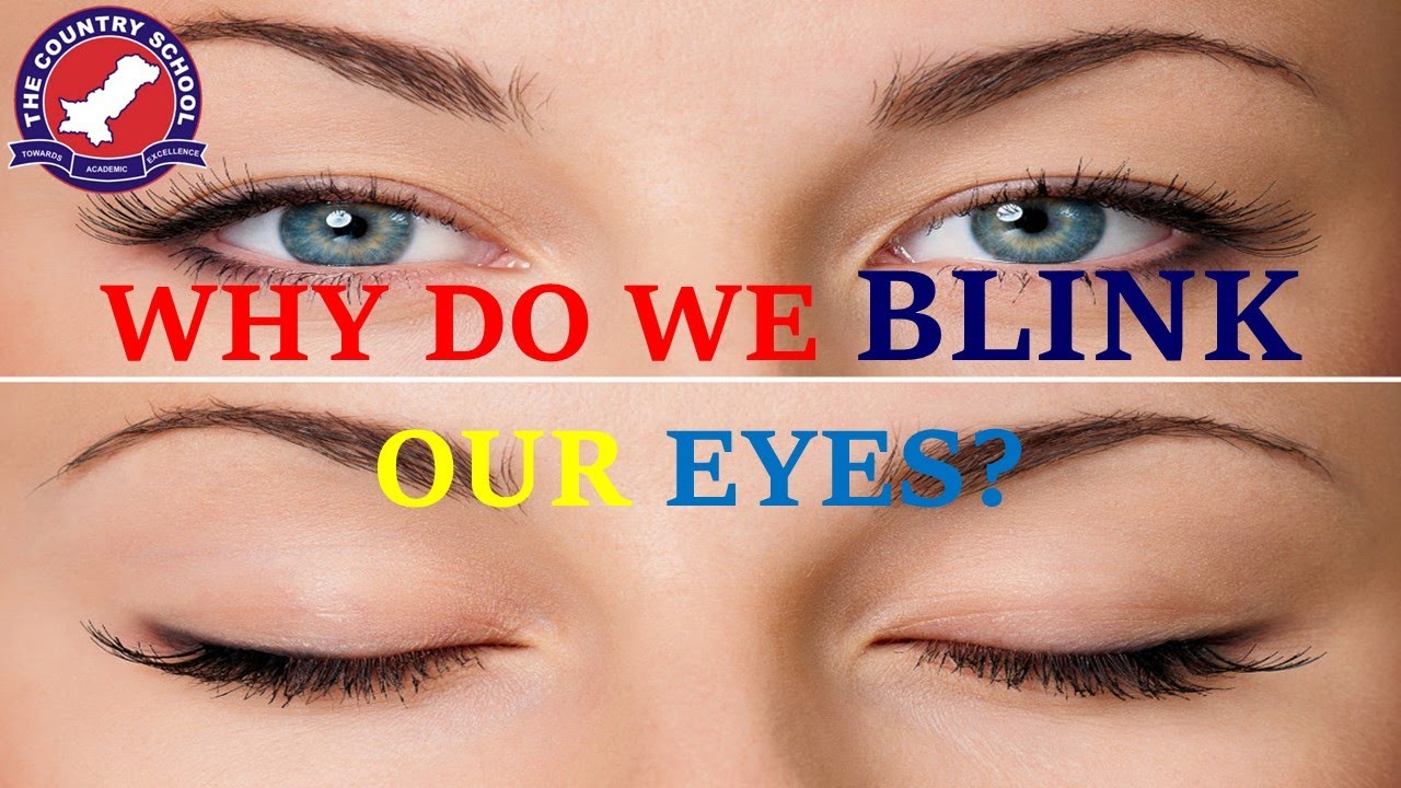Why do we blink our eyes? - YouTube
