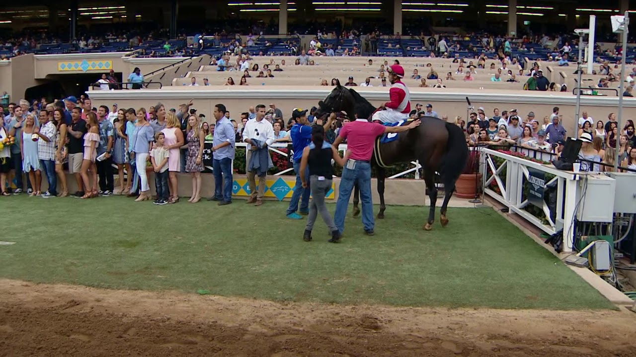 Dukes Up Wins Race 9 at Del Mar 09/03/17 - YouTube