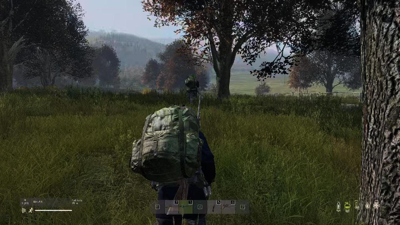 DayZ Killed bush campers - YouTube