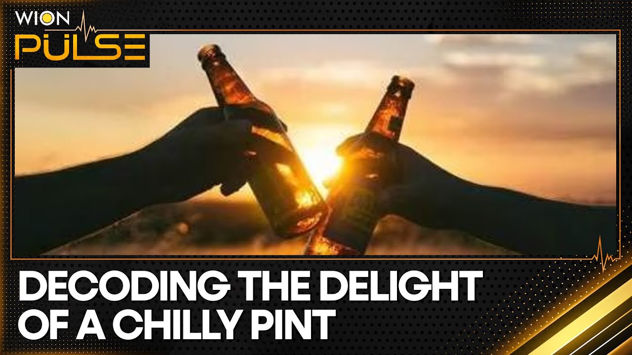 Why cold beer tastes better? | WION Pulse - YouTube