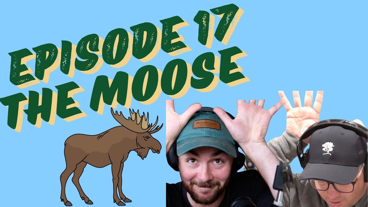 Episode 17 - Visualisation and the moose - YouTube