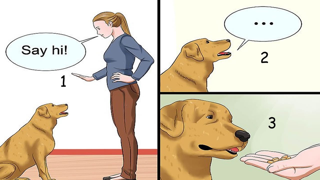 method,manner,fashion ASL - YouTube