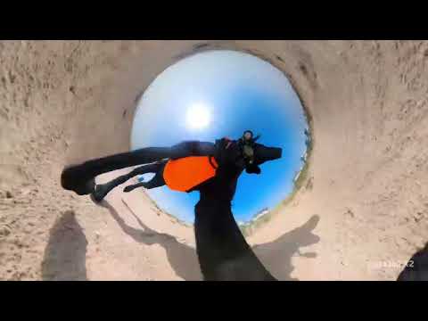 Hidden Camera Captures Dog’s EPIC Beach Stroll!