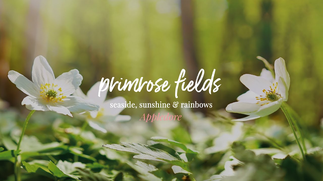 bunnyhomes | Primrose Fields, Appledore - YouTube
