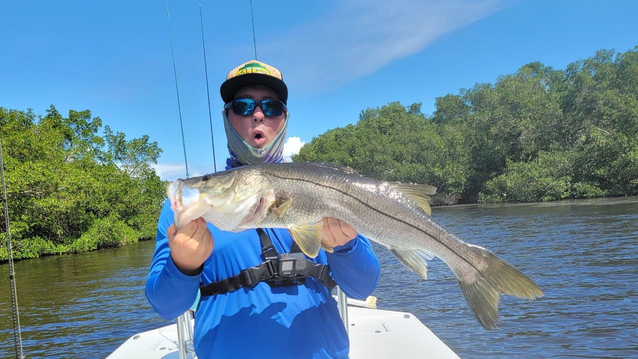 Snook Fishing In The Mangrove Trees!! - YouTube