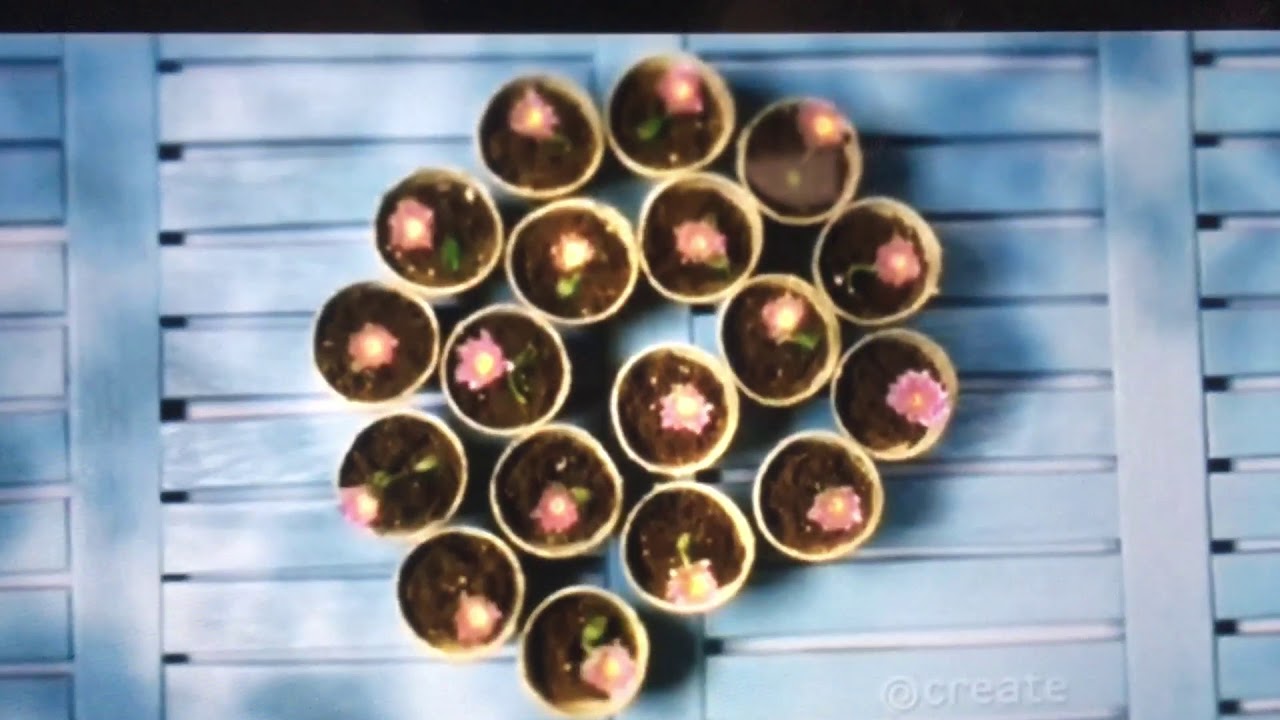 WHRO’s PBS create flower pots - YouTube