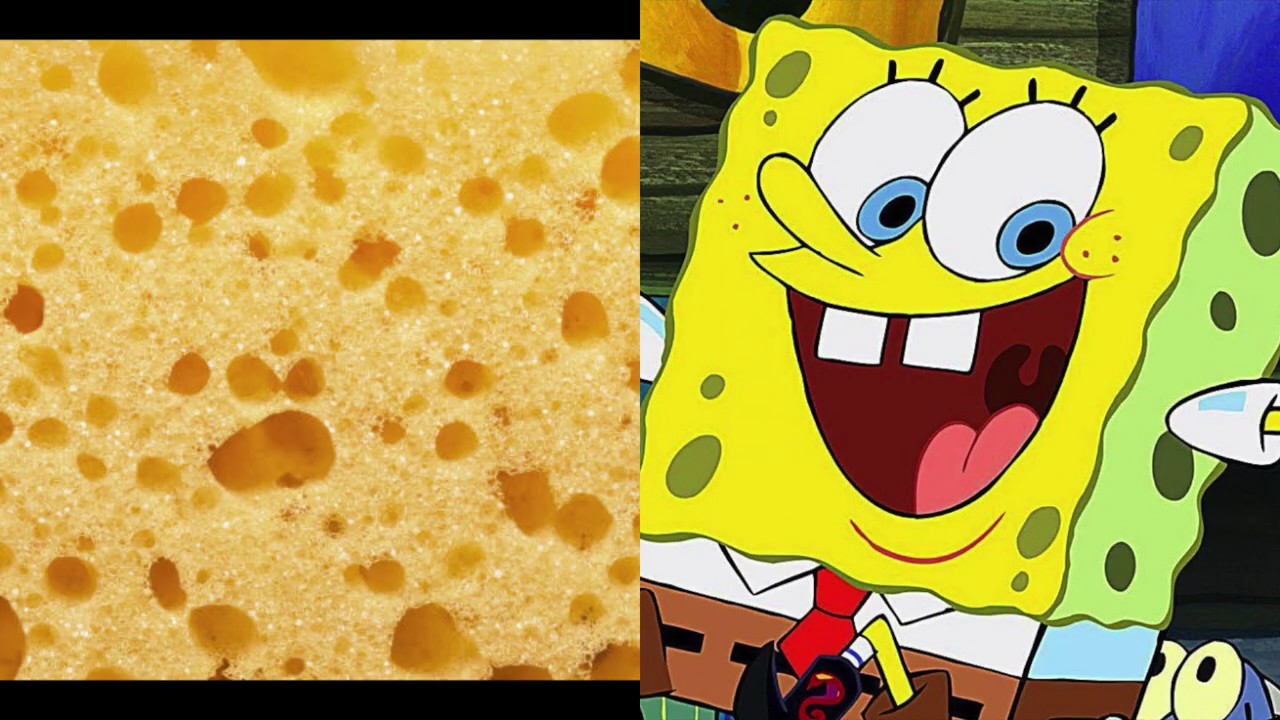 PROOF Spongebob Squarepants is a SPONGE - CONSPIRACY THEORY - YouTube