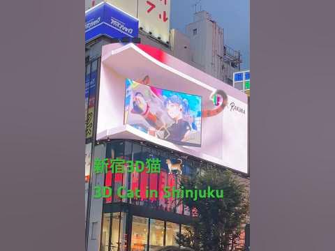 新宿3D猫/ 3D Cat in Shinjuku #3D猫 #3DCat #新宿 - YouTube