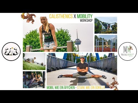 Calisthenics X Mobility | Moving Monkey feat. Monique König
