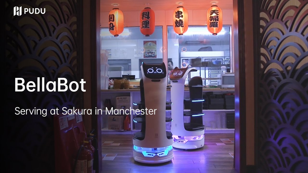BellaBot serves at Sakura restaurant in Manchester | Pudu Robotics ...