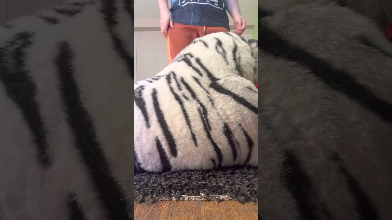 complete destruction of the tiger tear and plant and crush give me your ...