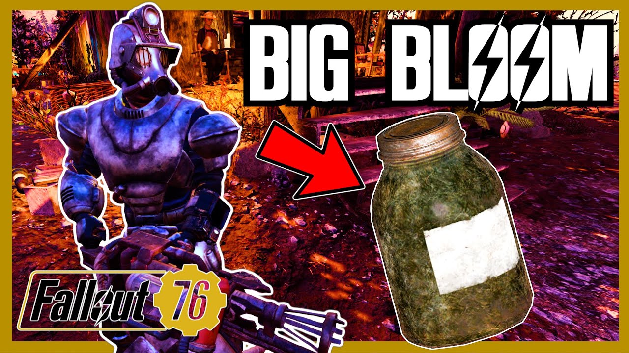 🔴 Farming The Craziest Buff In Fallout 76 - Black-Eyed Susan Soothin ...