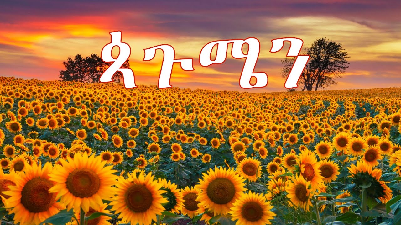 ጳጉሜን | አዲስ ዓመት | Addis Amet - YouTube
