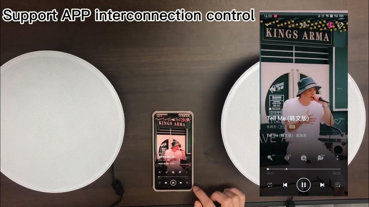Cloudyx Cs 1 Wifi 24and5g Bluetooth Stream In Ceiling Speaker For Smart Home Audio System