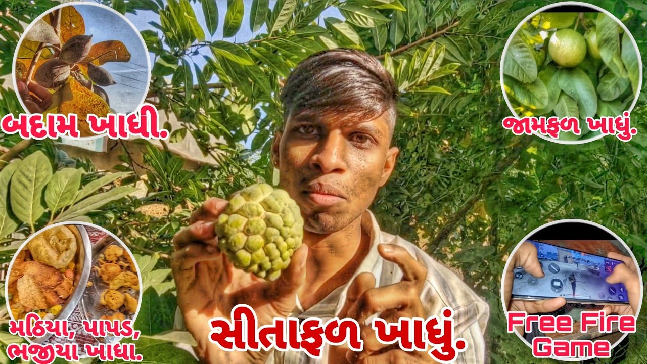 Sitafad Khadhu | Free Fire Game Rami | Mathiya Papad Khadha | Badam ...