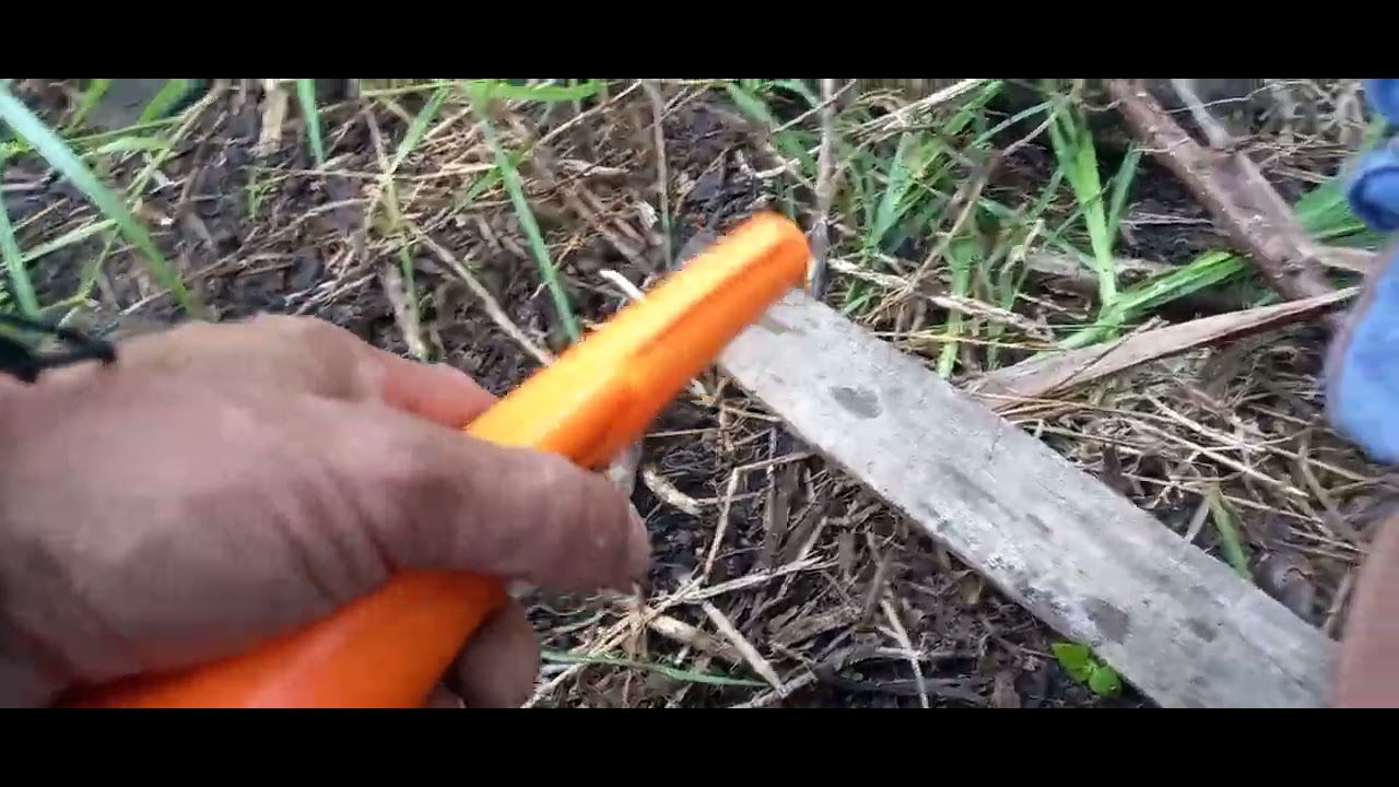 METAL DETEKTOR - YouTube