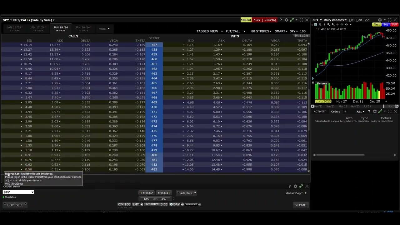 Options Chain Explained on Interactive Brokers Trader Workstation (2024) - YouTube