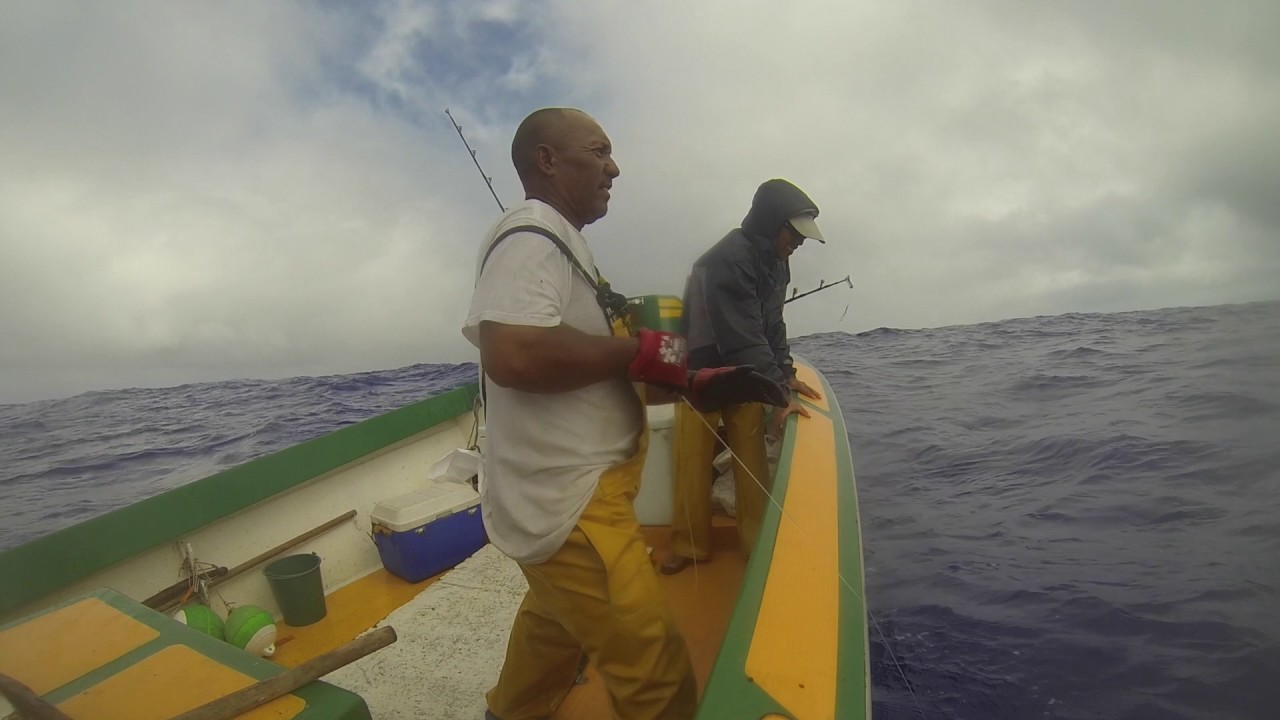 Pêche au large de Rurutu, Shark Attack (at 2:00) ! - YouTube