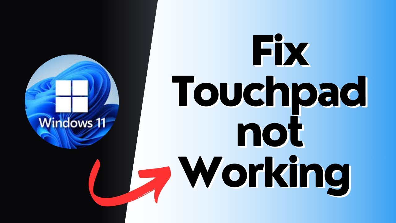 How to Fix Touchpad not Working on Windows 11 - YouTube