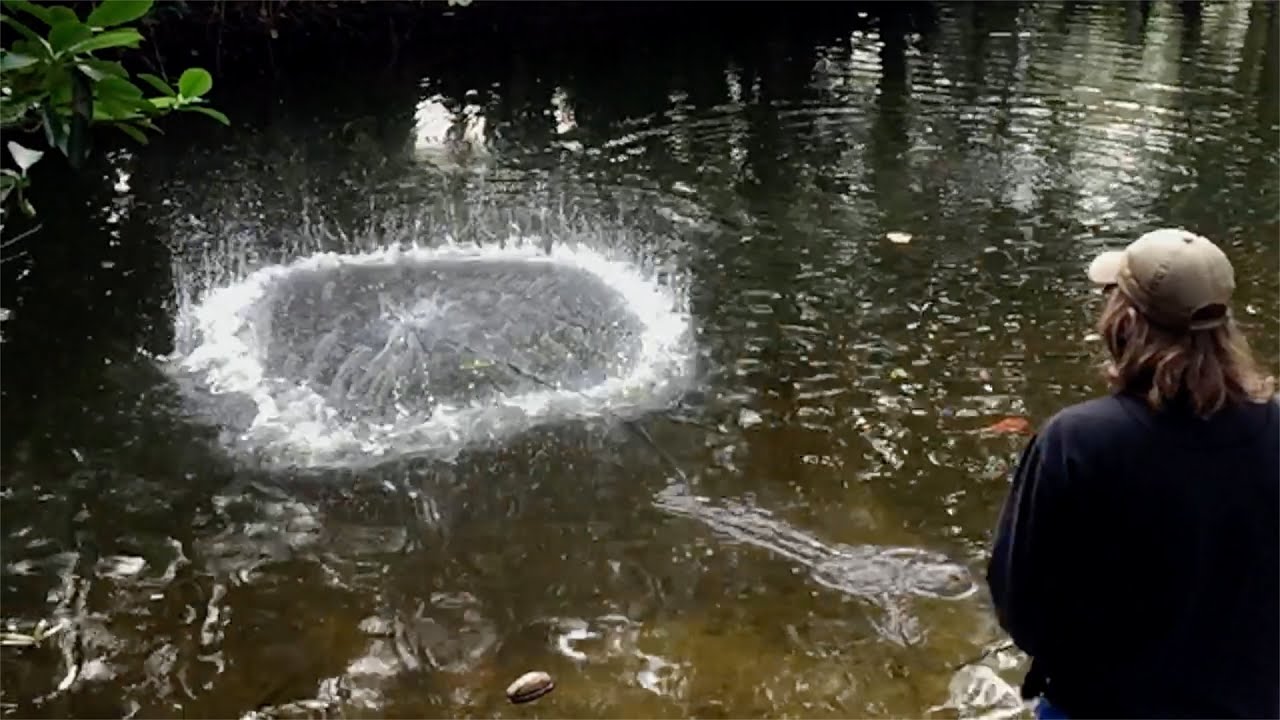 Best Left Handed Cast Net / Wallace Fishing - YouTube