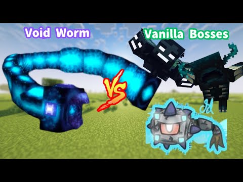 Vanilla Bosses vs Void Worm - YouTube