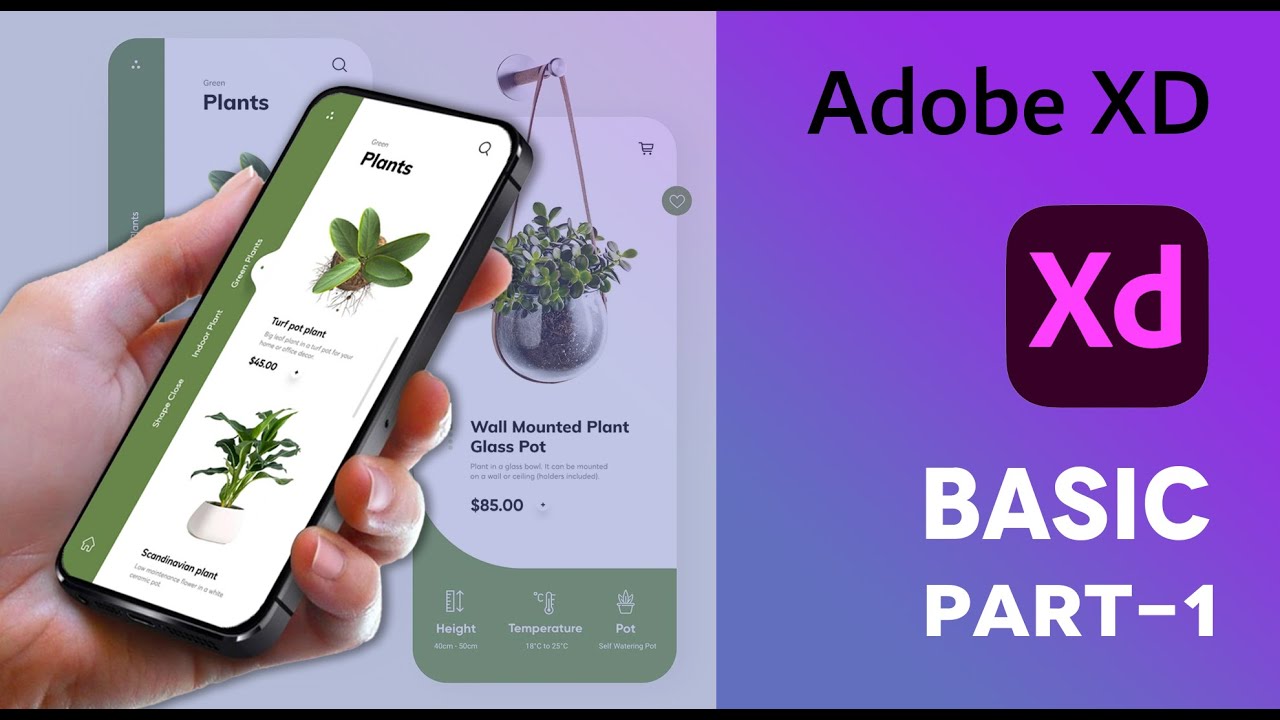 Basics of Adobe XD | Part 1 - YouTube