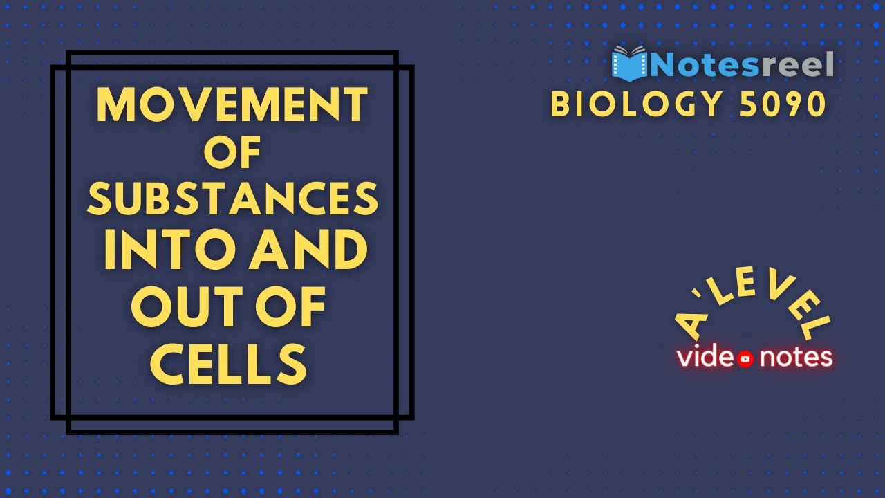 Movement Of Substances Into And Out Of Cells A Level Notes Biology movement-of-substances-into-and-out-of-cells-a-level-notes-biology