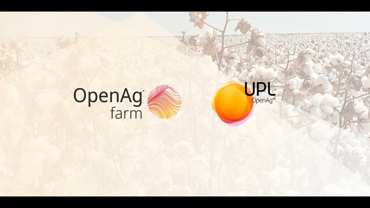 OpenAg Farm, Brazil | World Cotton Day 2022 - YouTube