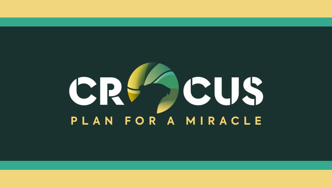 Презентация Crocus LTD - YouTube