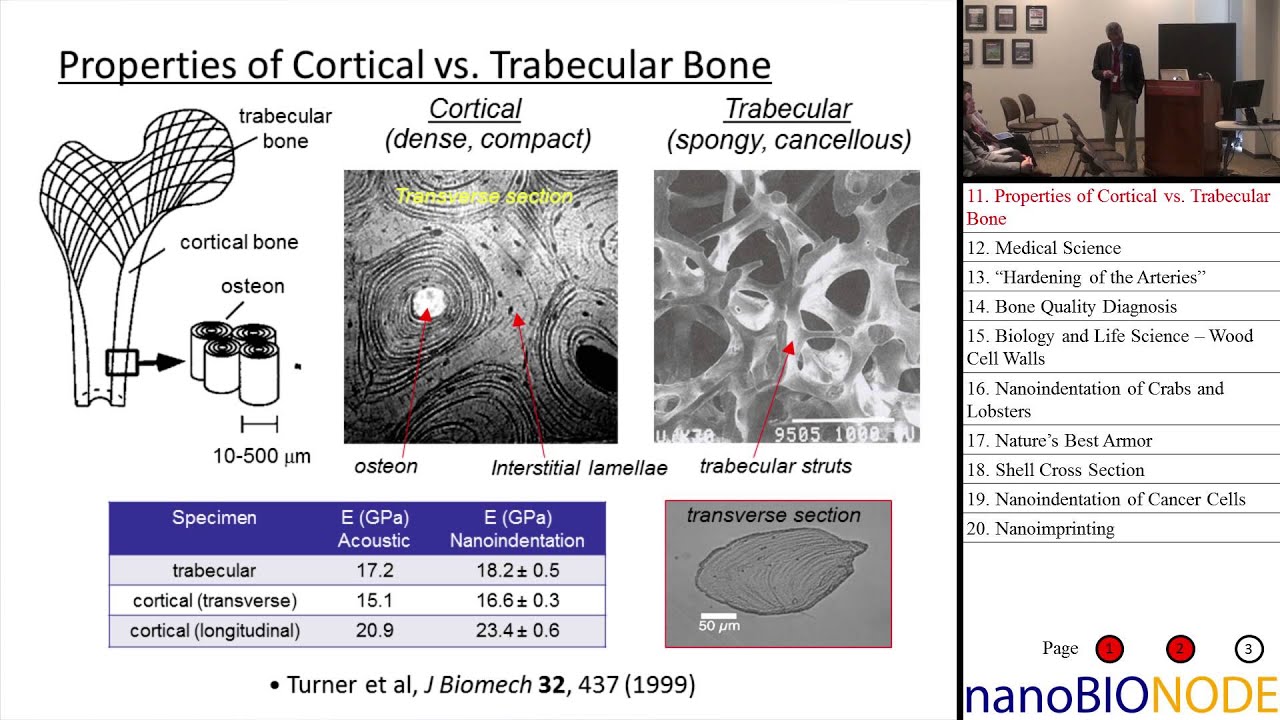 Case studies in nanoindentation : The world soft and biological ...