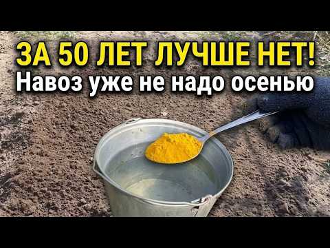 1 ложка в землю осенью — и урожай будет рекордным: секретное удобрение своими руками