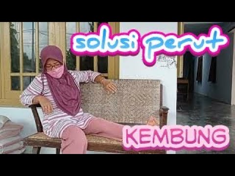 pijat urat ples tante rina...perutnya