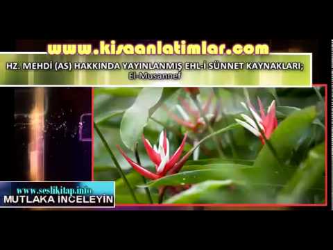 HZ  MEHDİ AS HAKKINDA YAYINLANMIŞ EHL İ SÜNNET KAYNAKLARI; El Musannef
