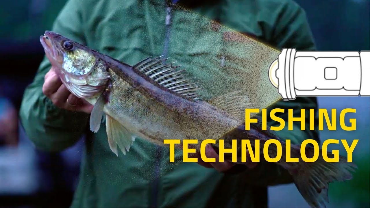 How can Selective Fishing Gear help the Future of Fishing Industry ...