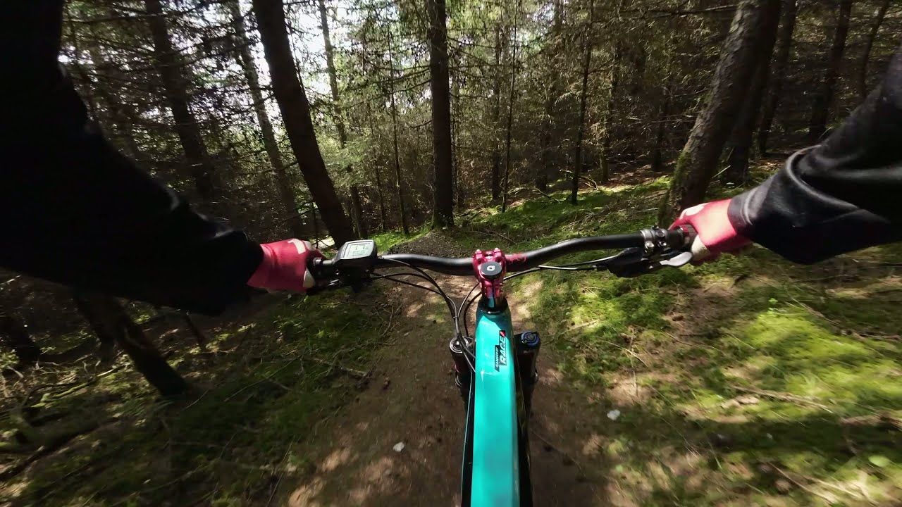 Near Annamoe Trail 3 - YouTube