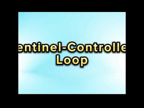 Sentinel-Controlled Loop__Types of loops_ #C++ #loops #learncpp # ...