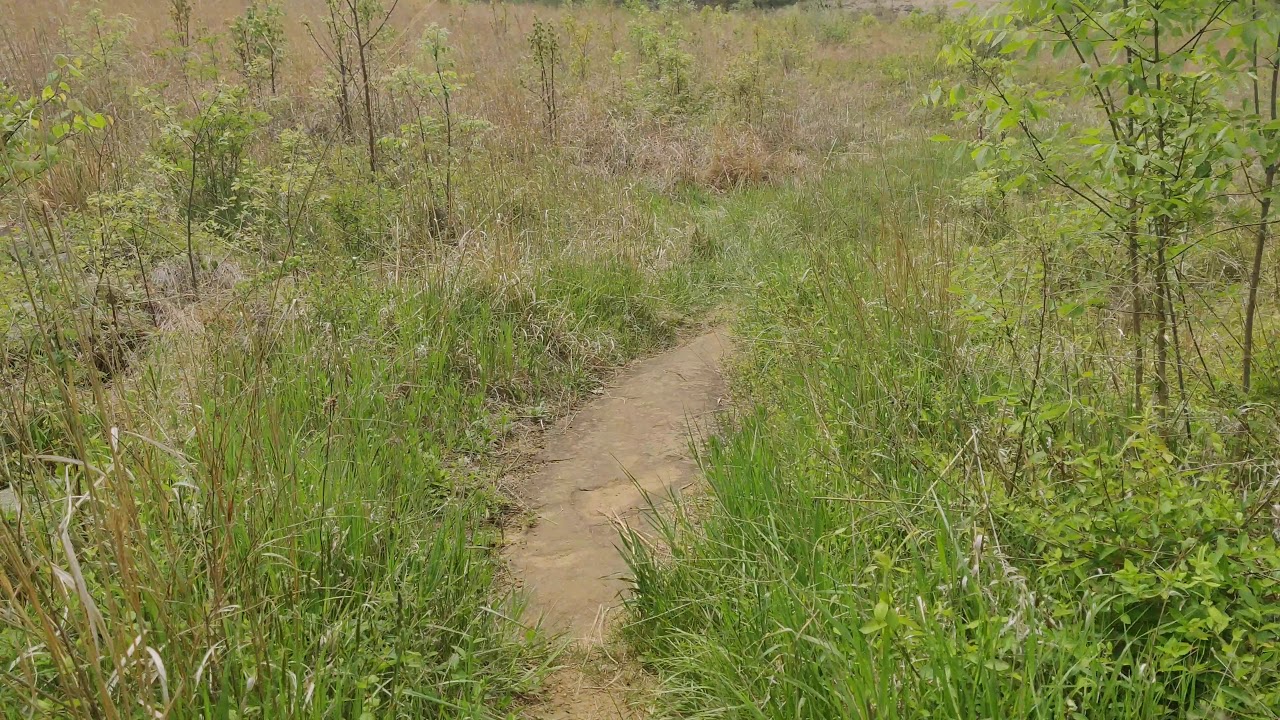 Triangular field Gettysburg, orange blossoms 124th ny - YouTube