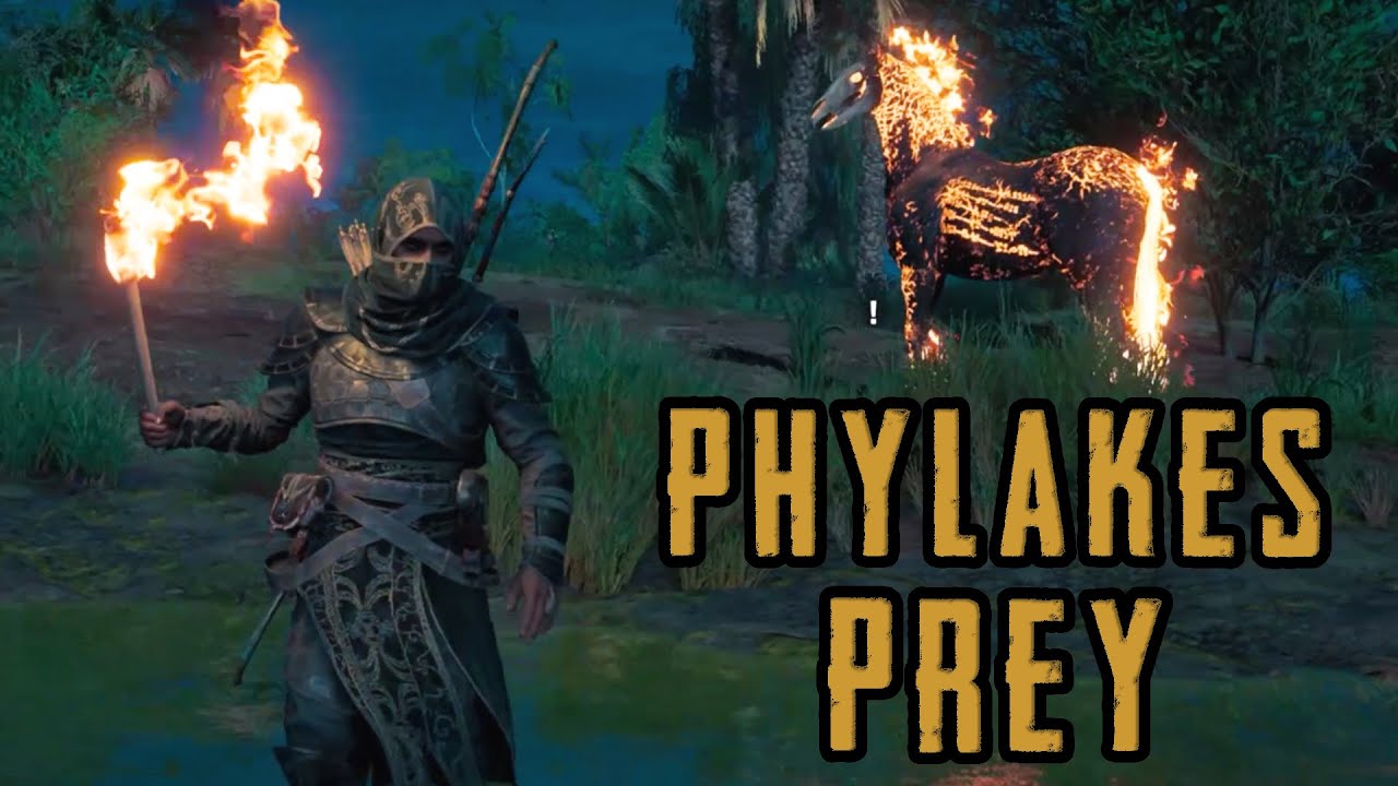 Assassin's Creed Origins - 'Phylakes' Prey' (Side Quest) - YouTube