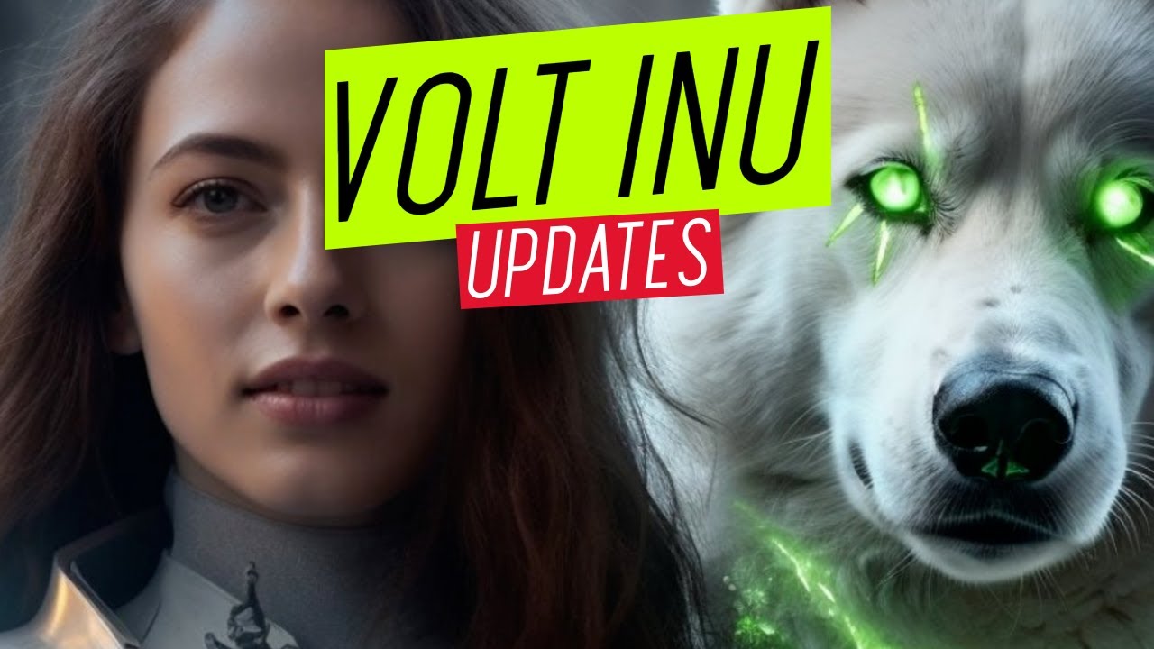 VOLT INU & VDSC NFTs UPDATES! -SPACE CABIN - YouTube