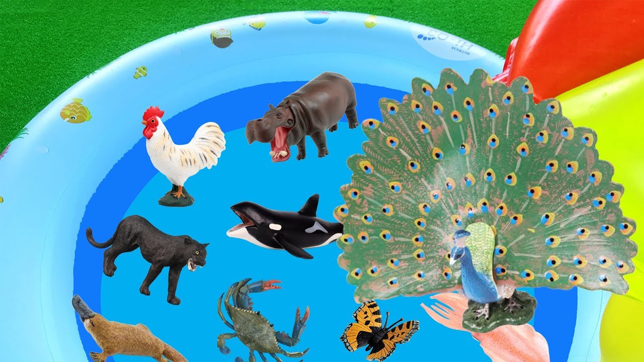 Animals for Toddlers - Learn Animal Names with Toy for Kids | Lum Sum ...