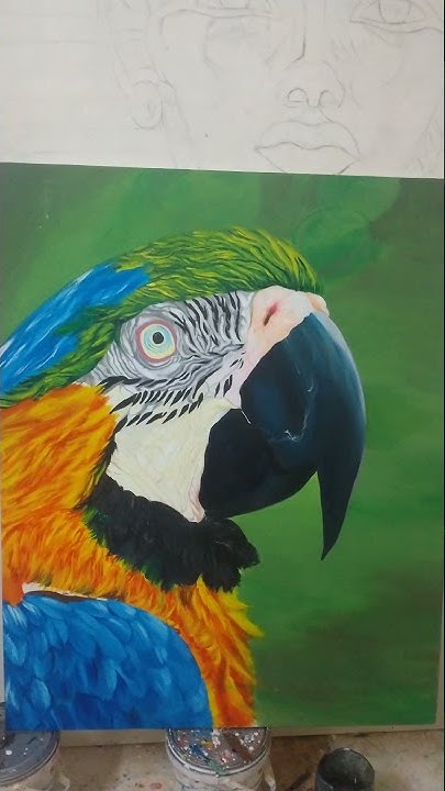 How To Draw A Parrot كيفية رسم الببغاء Youtube
