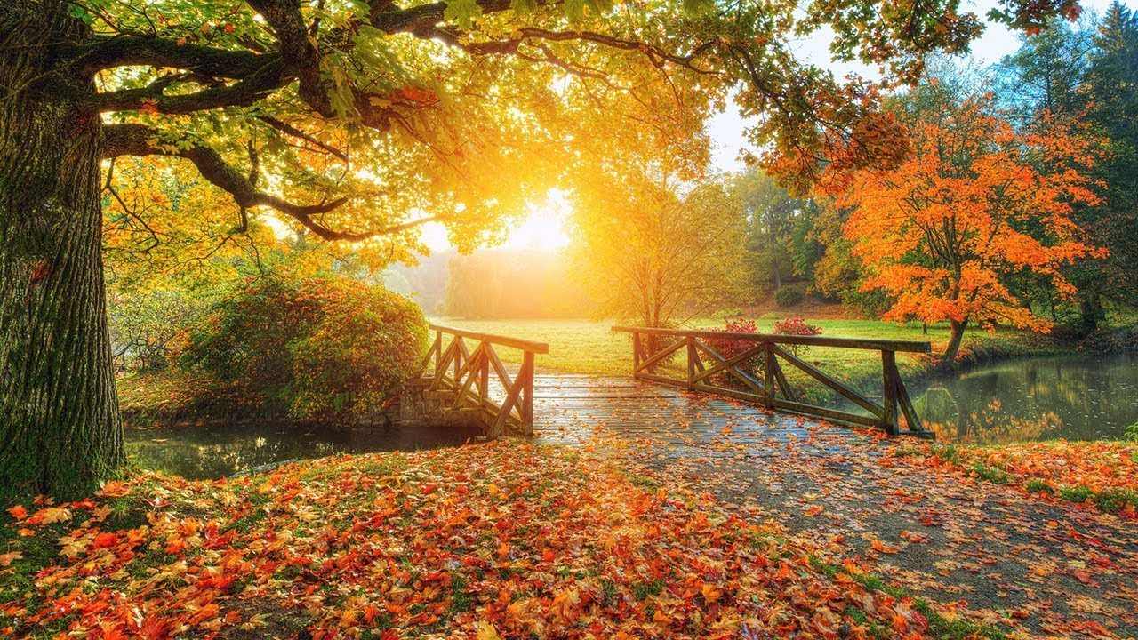 Beautiful Relaxing Music - Stop Overthinking, Stress Relief Music ...