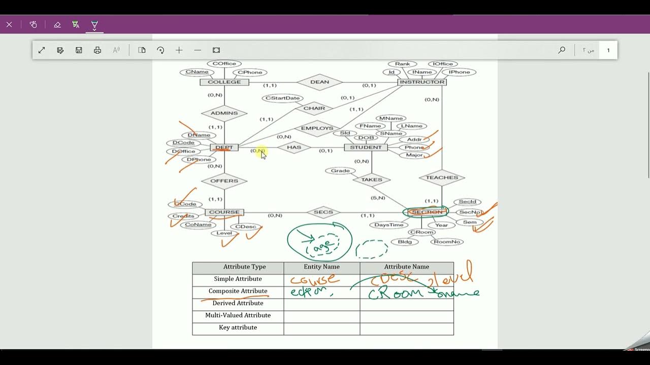 Simple Attribute Composite Attribute Derived Attribute Multi Valued Attribute Key attribute ...