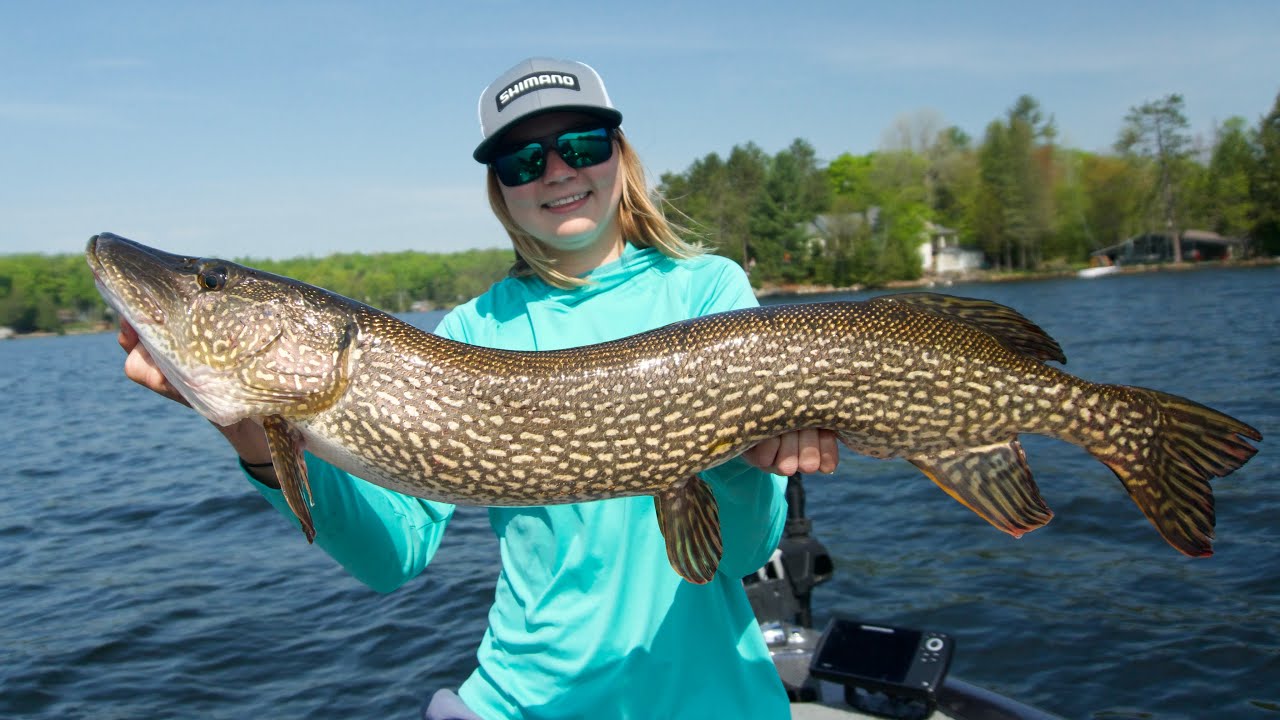 Glide Bait Fishing for AGGRESSIVE Spring Pike! - YouTube